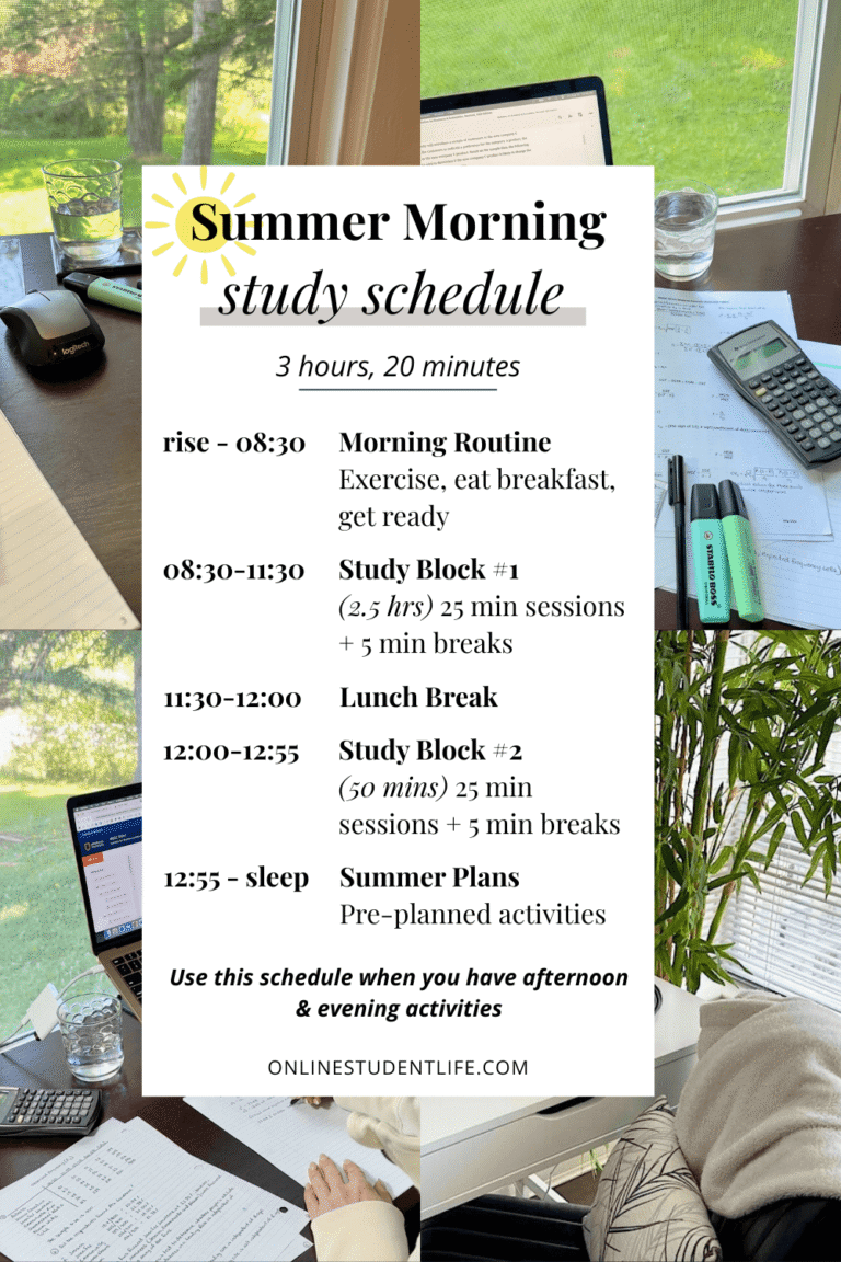 3 Summer Study Schedules That Let You Balance Sunshine and Study ...
