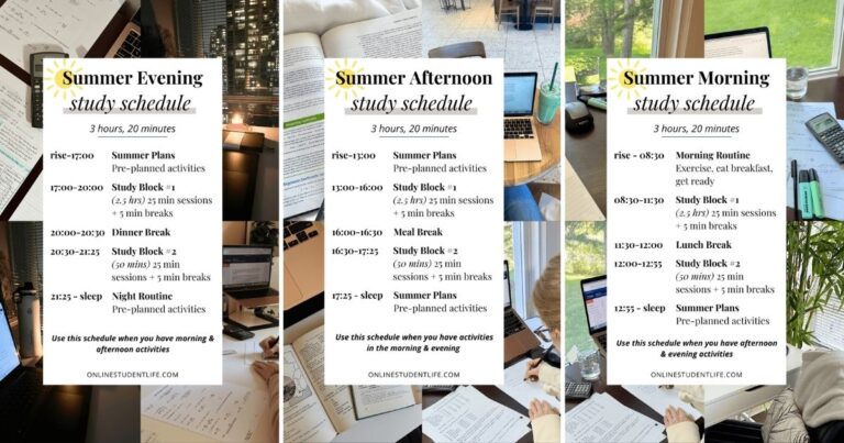 11 Study Tips for Successful Summer Classes - Online Student Life
